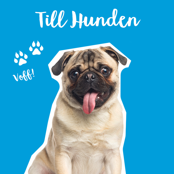 En perfekt present till husdjuret till alla djur | Smartphoto